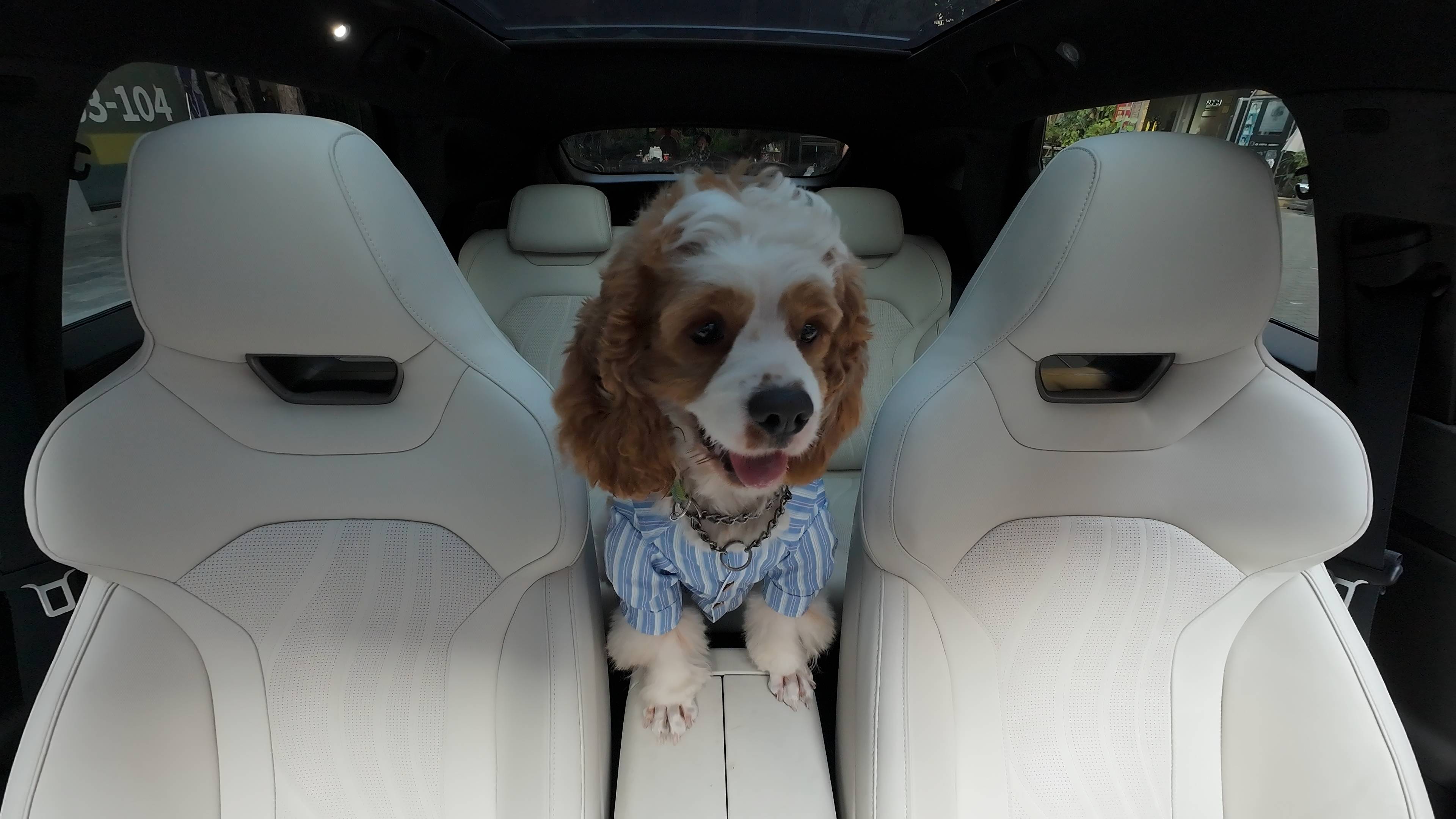 腾势N7 史上最强OTA，高速NOA、预瞄正式推送，坐实智驾第一梯队！_搜狐汽车_搜狐网