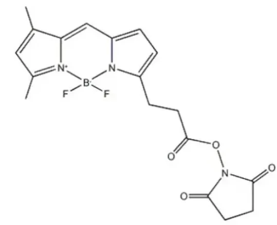 146616-66-2，BODIPY FL NHS，具有良好的荧光特性和良好的水溶性