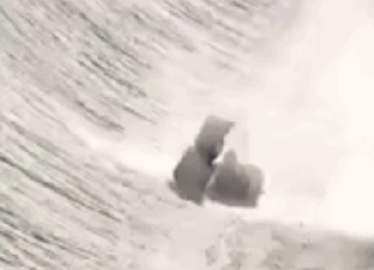 网传花样游泳银牌女神下海？5000-1P，1W-1Y_日本_女孩_视频