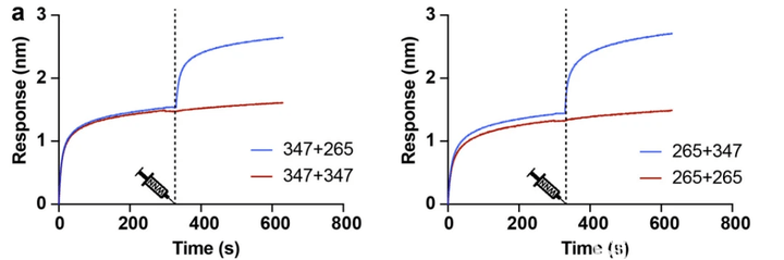 一文读懂利用生物膜干涉技术（BLI）进行竞争性结合实验_抗体_抗原_传感器