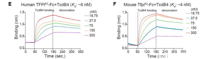 一文读懂利用生物膜干涉技术（BLI）进行竞争性结合实验_抗体_抗原_传感器