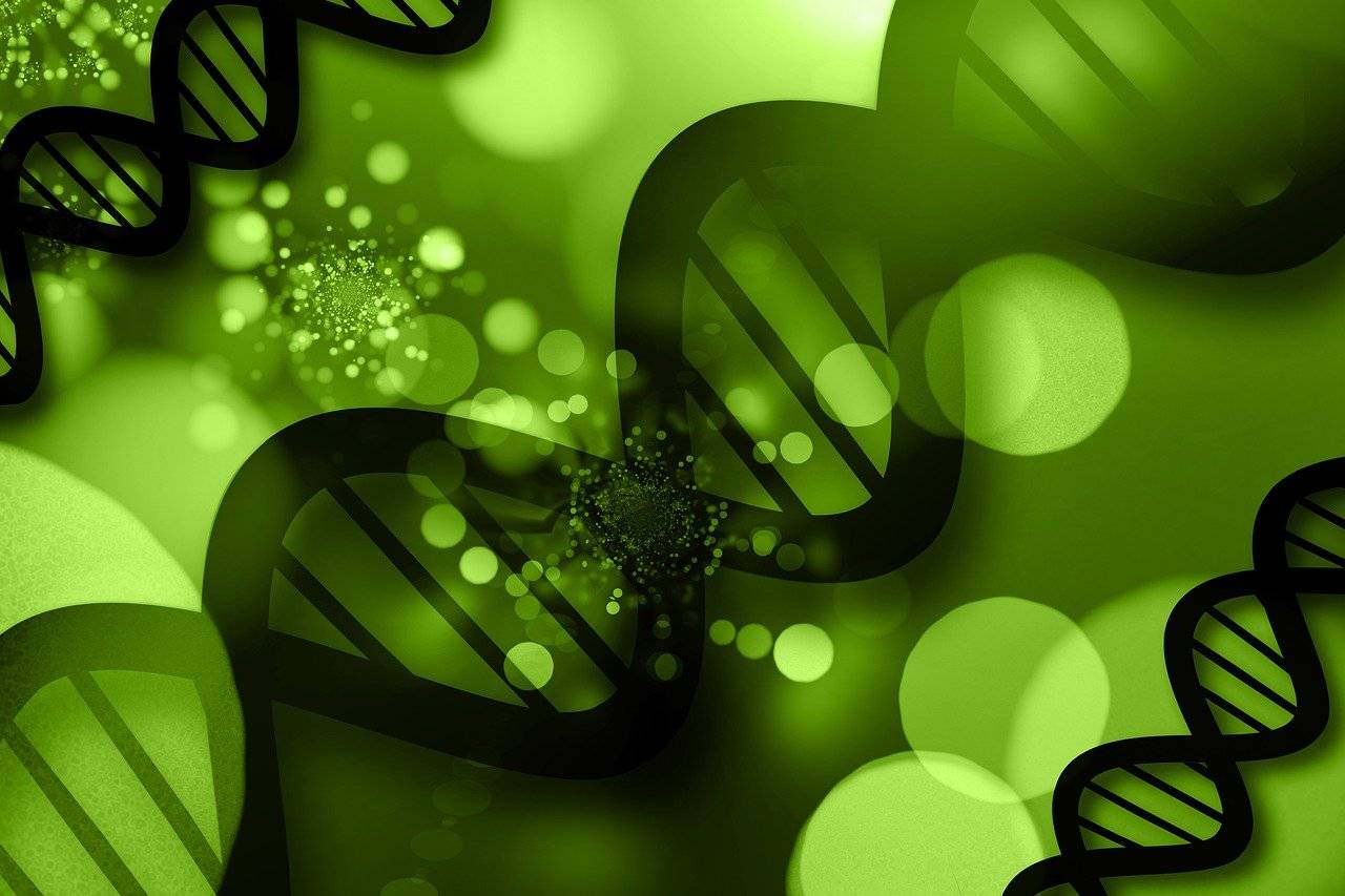 ENDO-BCN-PEG2-OH，1951439-51-2，有助于揭示生物分子在细胞内的功能-阿仪网