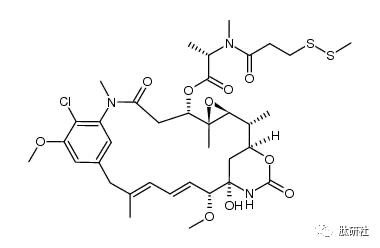 双环肽药物筛选引领者Bicycle Therapeutics_公司_合成_细胞