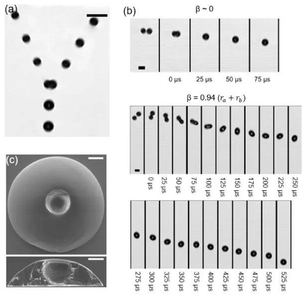 MicroFab 高精度双喷头反应性喷墨（RIJ）3D打印高活性有机硅_mm_比例尺_结构