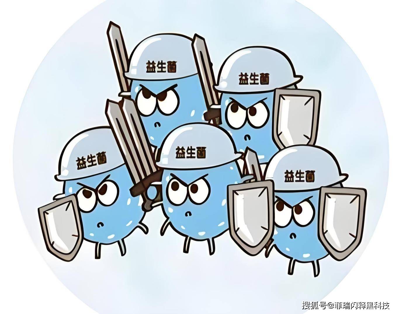 动物双歧杆菌乳亚种B420是什么菌？_肠道_研究_微生物