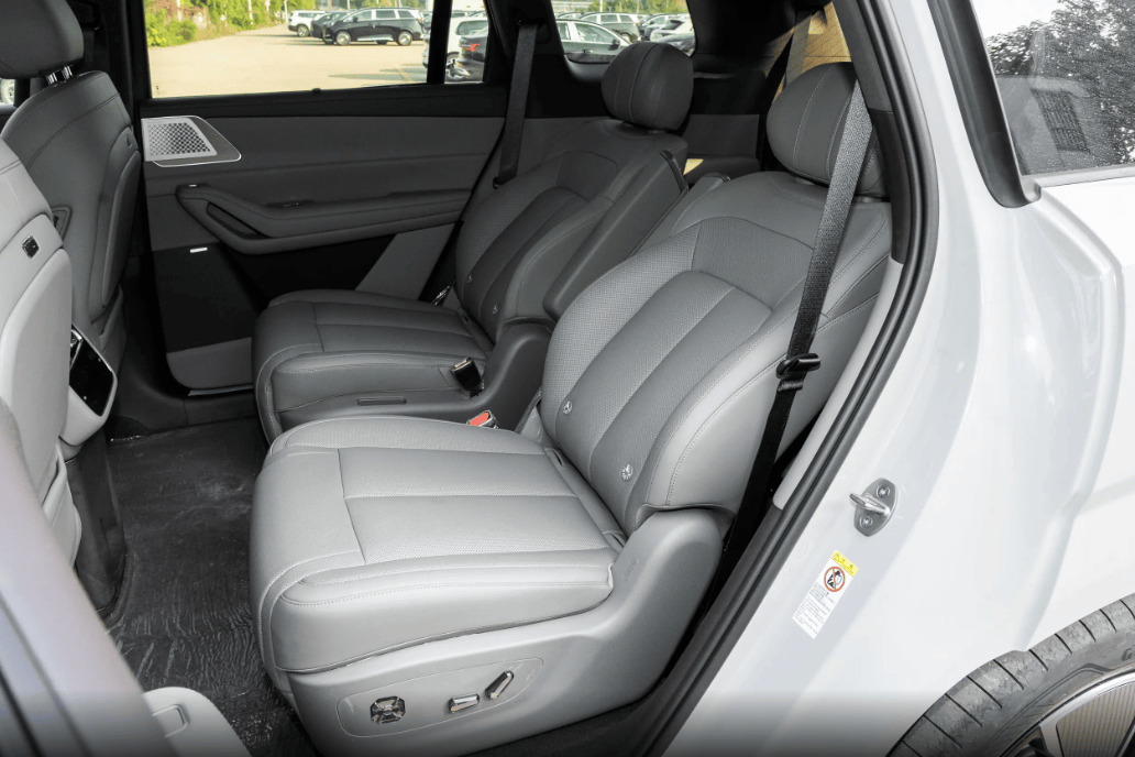 售29.98万起，2.0T三电机插混，5.2米配6座，试驾体验腾势N8L_搜狐汽车_搜狐网