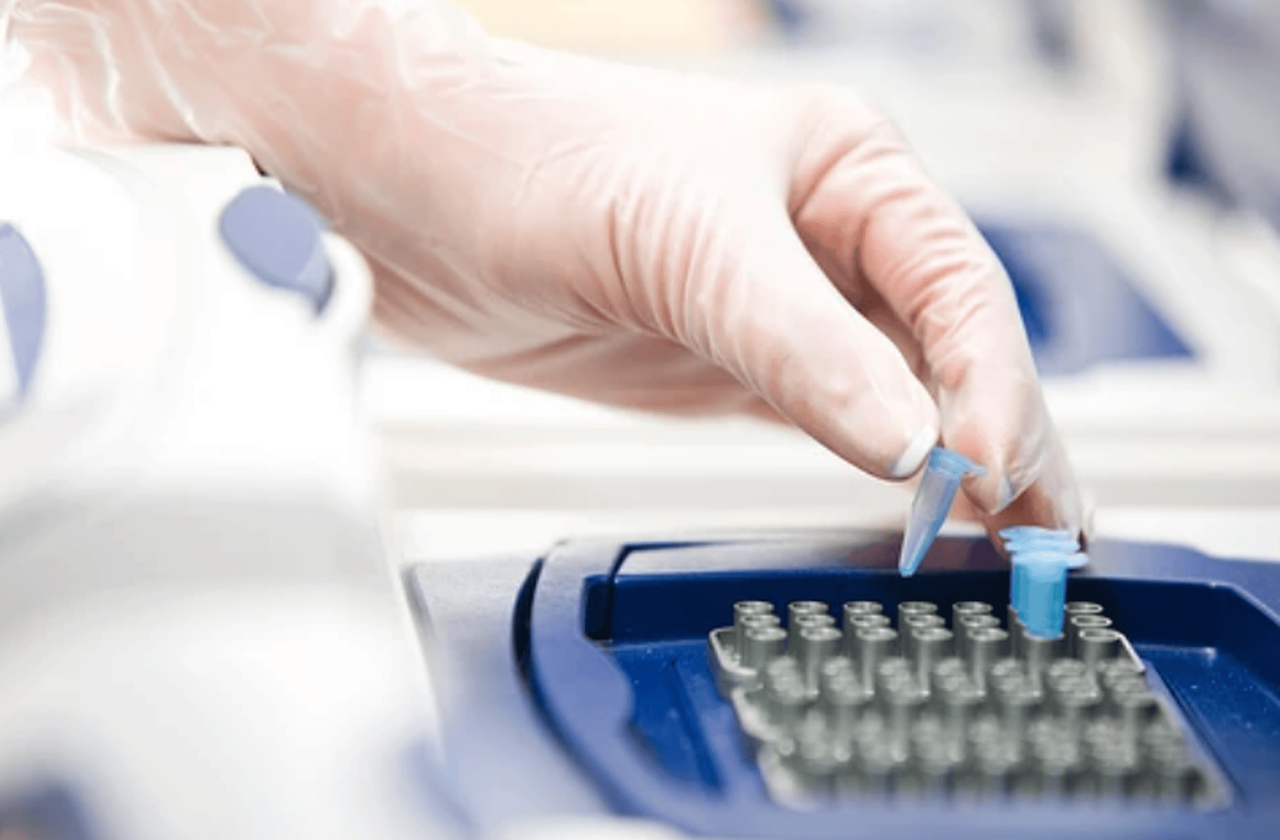 DABCYL DBC淬灭剂，一种具有优异淬灭性能的试剂