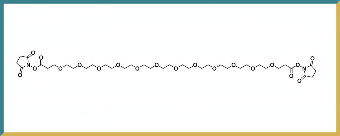 Bis-PEG12-NHS ester 用于生物研究的化学交联试剂