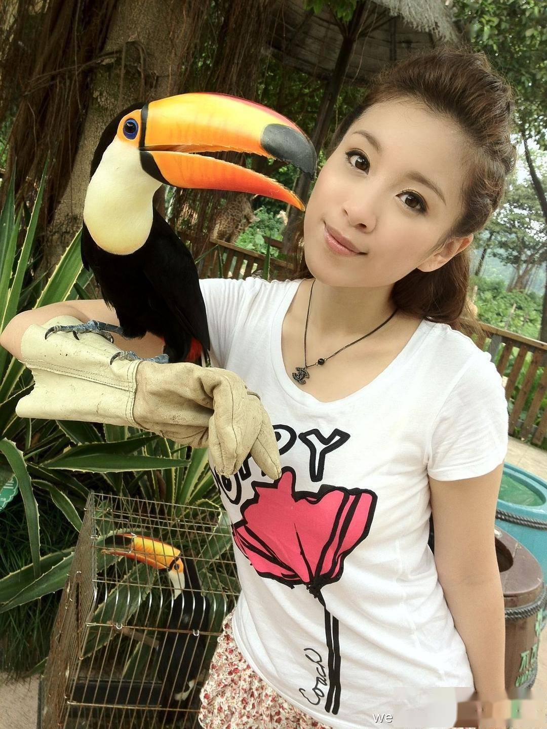 前华姐冠军张慧雯法律系毕业，曾被误会藏毒致演艺事业停滞 -6parkbbs.com