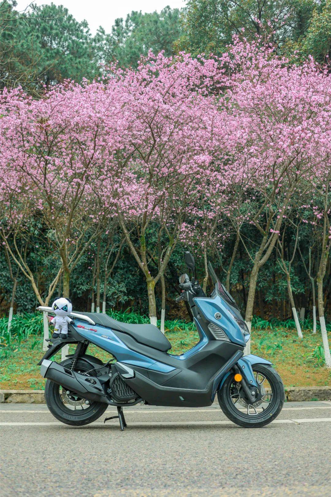 13980元，无极首款混动踏板SR150GT H上市_搜狐汽车_搜狐网