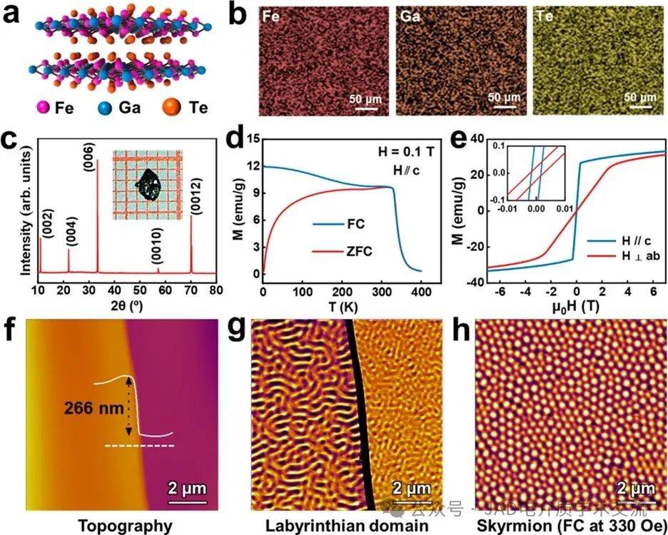 北京理工大学: 范德华材料Fe3GaTe2中的磁畴演化_明子_斯格_样品