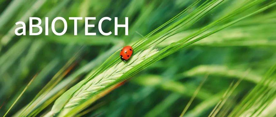 aBIOTECH | 陈其军团队优化LbCas12a变体使其在拟南芥基因组编辑中达到实用化程度_效率_ultra_诱导