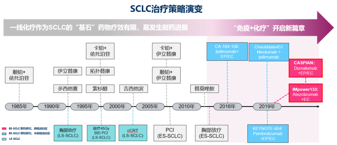 李敏教授：免疫时代SCLC治疗进展和探索丨2024中华肺癌学术大会_研究_化疗_一线