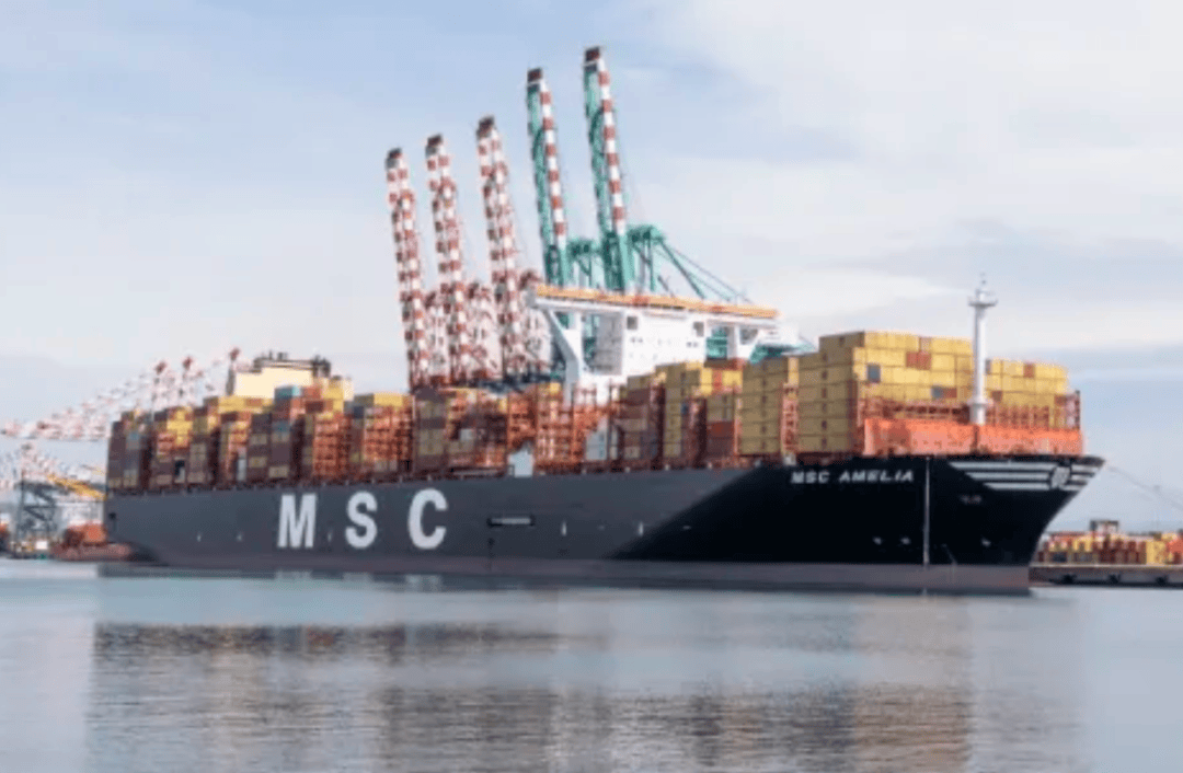 MSC今日宣布：推出两条新航线，挂靠上海、宁波、盐田、蛇口……_中国_港口_航运