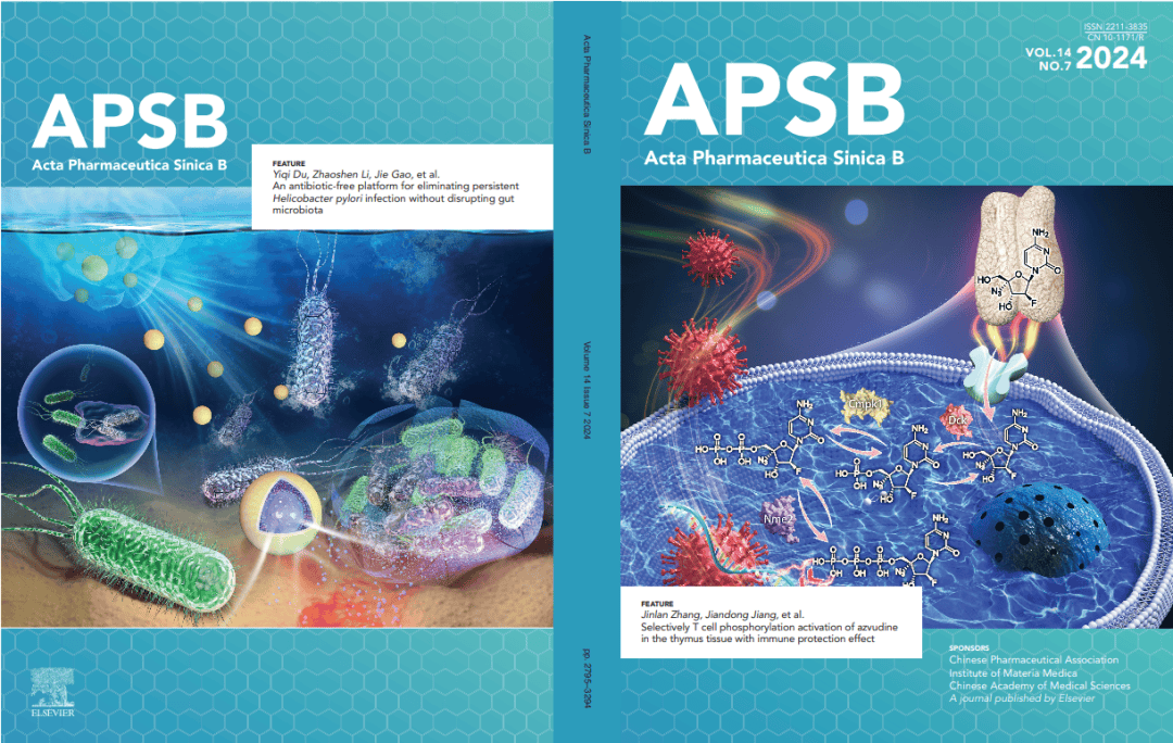 【APSB】2024年7期_Jia_Sin_药物