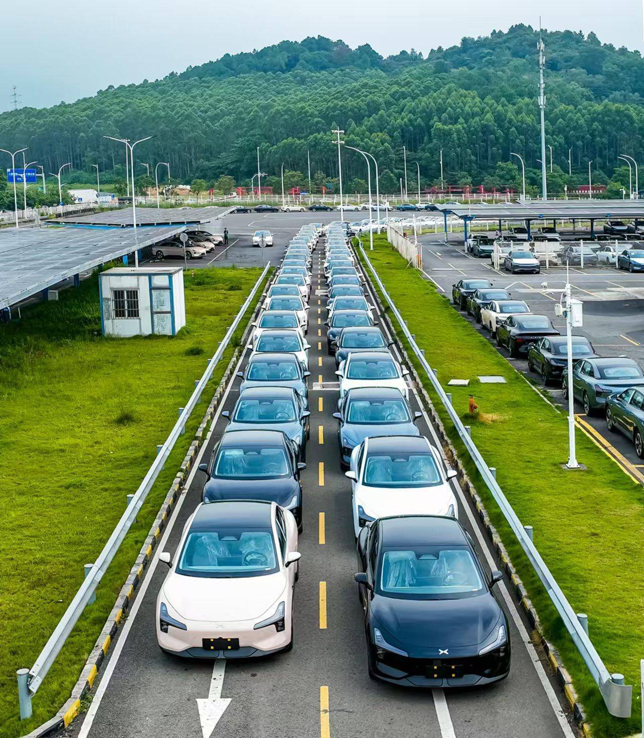 上市48小时 大定超30000台并开启交付 小鹏MONA M03在肇庆高新区量产_搜狐汽车_搜狐网