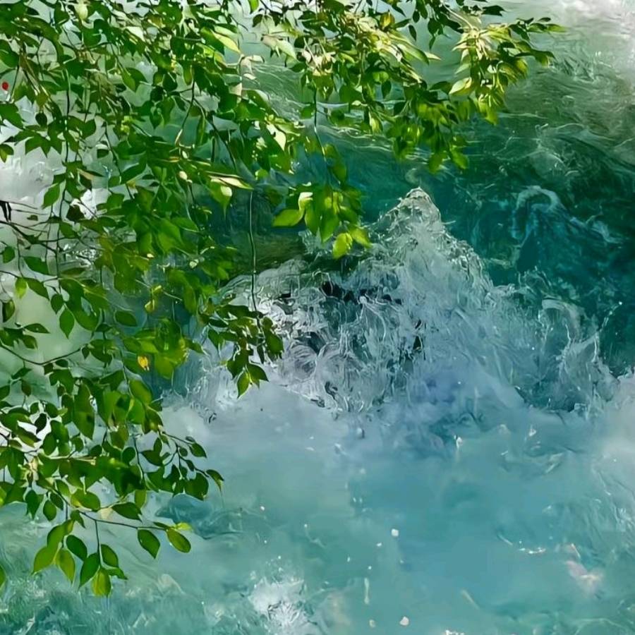 女主播随《超级马里奥》音乐用大胸弹跳 太强了！_表演_JadeyAnh_文化