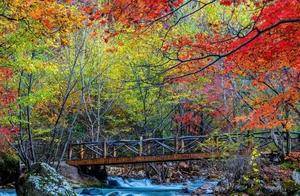 中国最美的秋天，竟然藏在这里？红叶比香山规模大！_枫叶_本溪_山峦