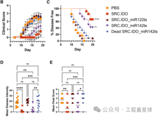 Moderna开发IDO1 mRNA治疗自身免疫疾病_蛋白_细胞_hsIDO