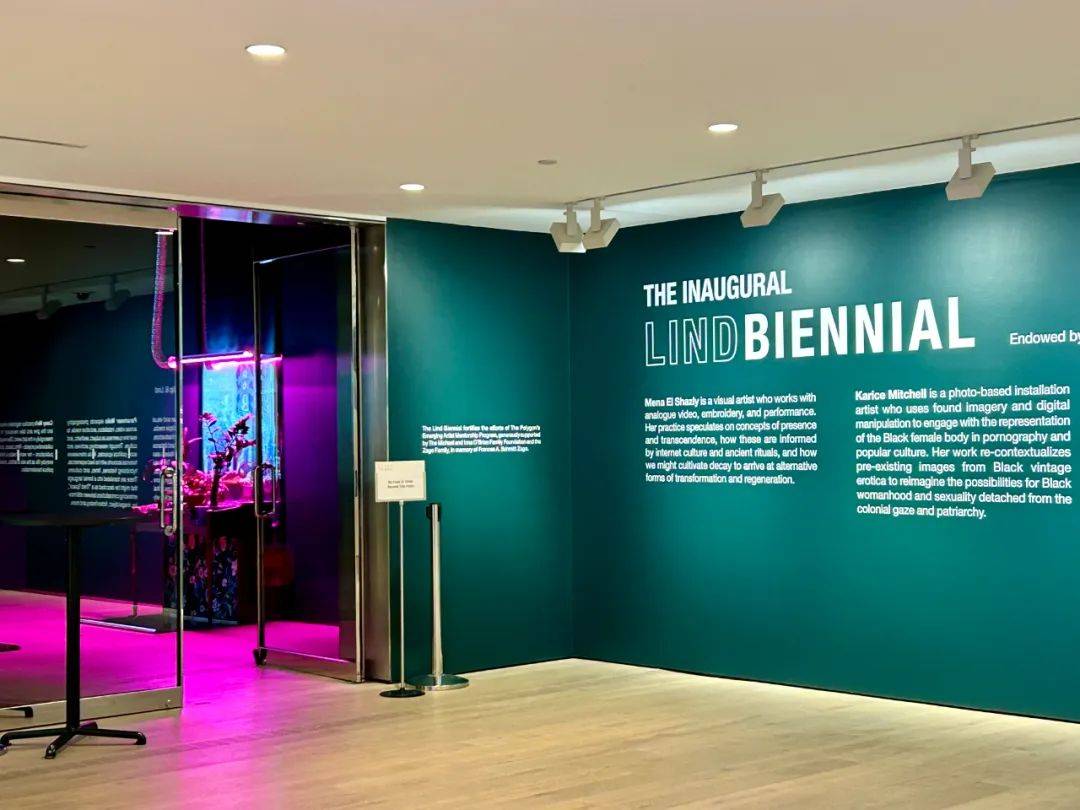 【好去处】Polygon美术馆林德双年展揭幕 华裔Casey Wei入围新锐艺术家奖_黄忆欣_作品_星岛