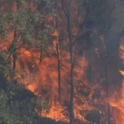 高温+大风，维州多地山火失控！民宅被焚，当局呼吁民众撤离_Kadnook_Chapple_天气