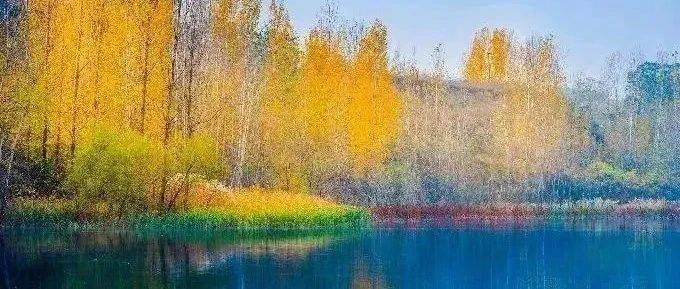 你在我心中永远最美丽！ (20241129)_过往_季节_光阴