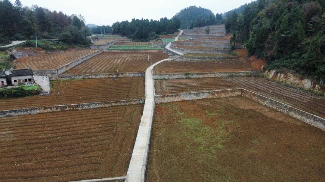 高标准农田建设助力农业腾飞 乡村振兴迈上新台阶_茶园镇_金沙_安底镇