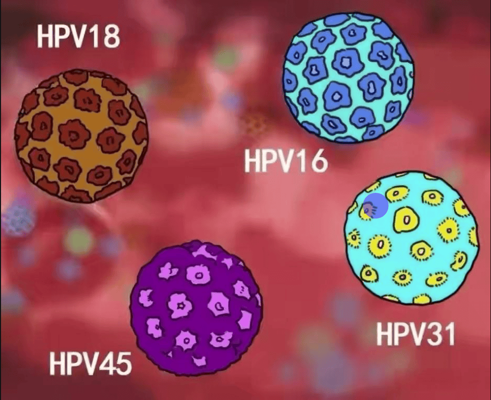 解码HPV，科学应对是关键！_病毒_女性_宫颈