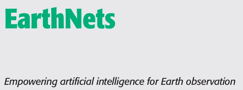 GRSM | 回顾500个公开遥感数据集, 提出EarthNet AI遥感开放平台, 算法性能比较与数据集共享_检测_分类_任务