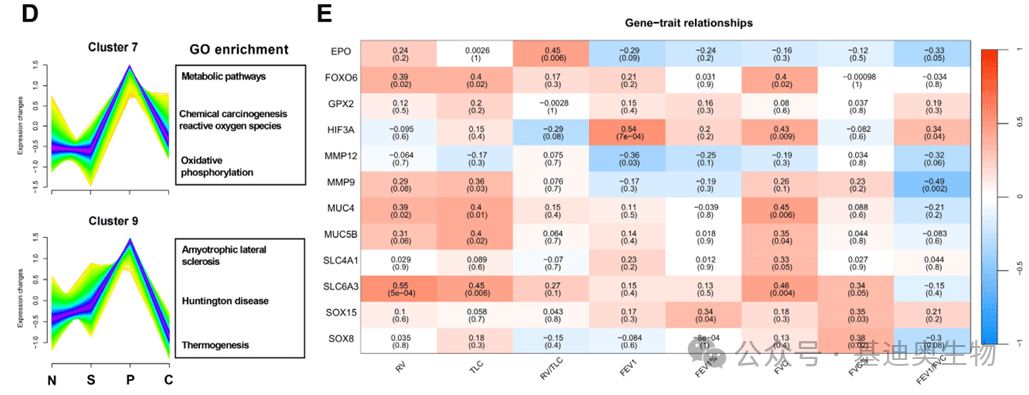 Mfuzz的一些实际应用_Cluster_分析_患者