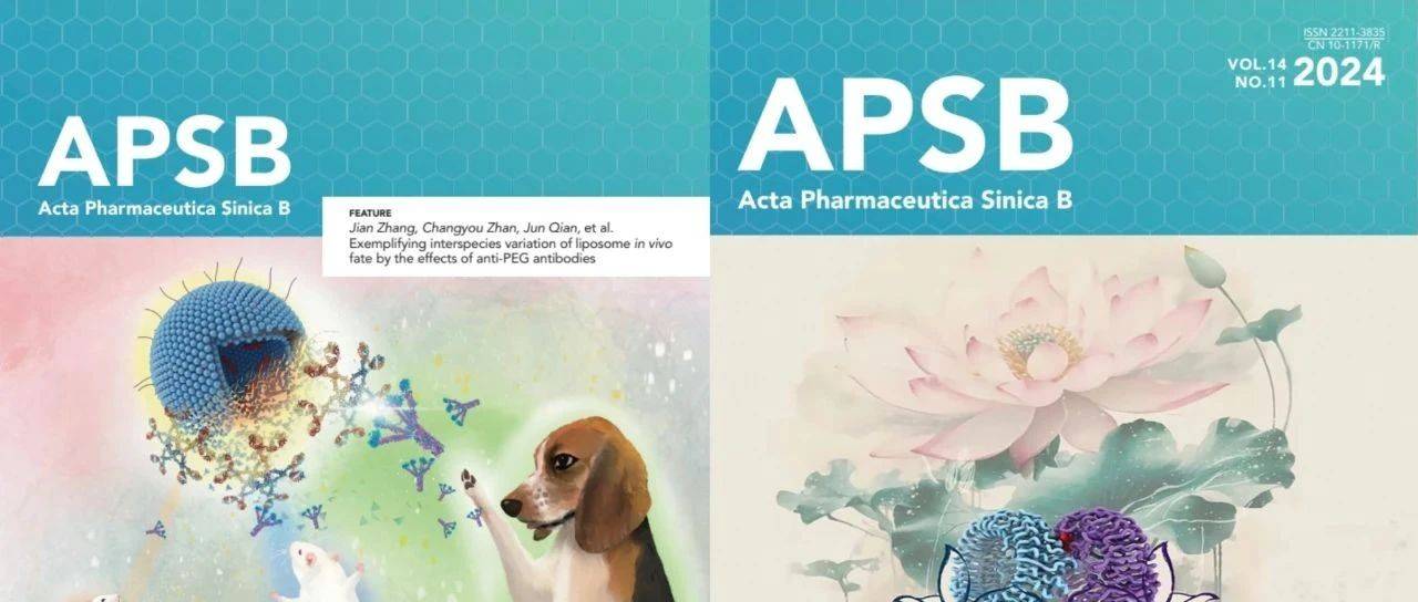 【APSB】2024年11期_Shi_in_Liu