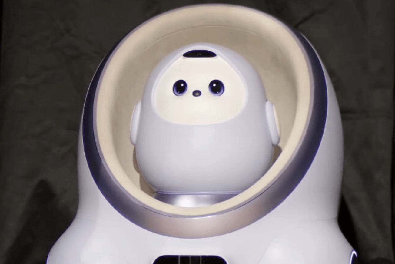 AI 融入人类生活，陪伴型机器人大军来袭 | CES 2025_Aime_Ropet_Tombot