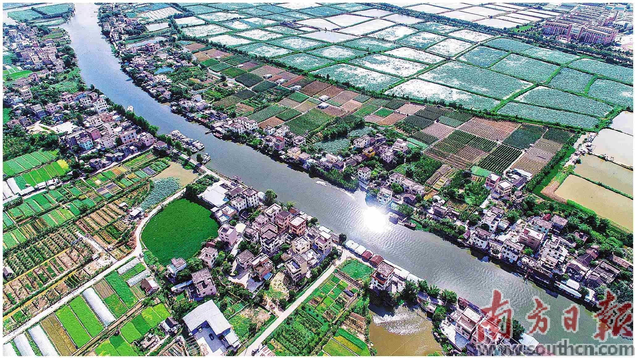 打造产城新坦洲 珠西全能型强镇崛起_坦洲镇_产业_企业