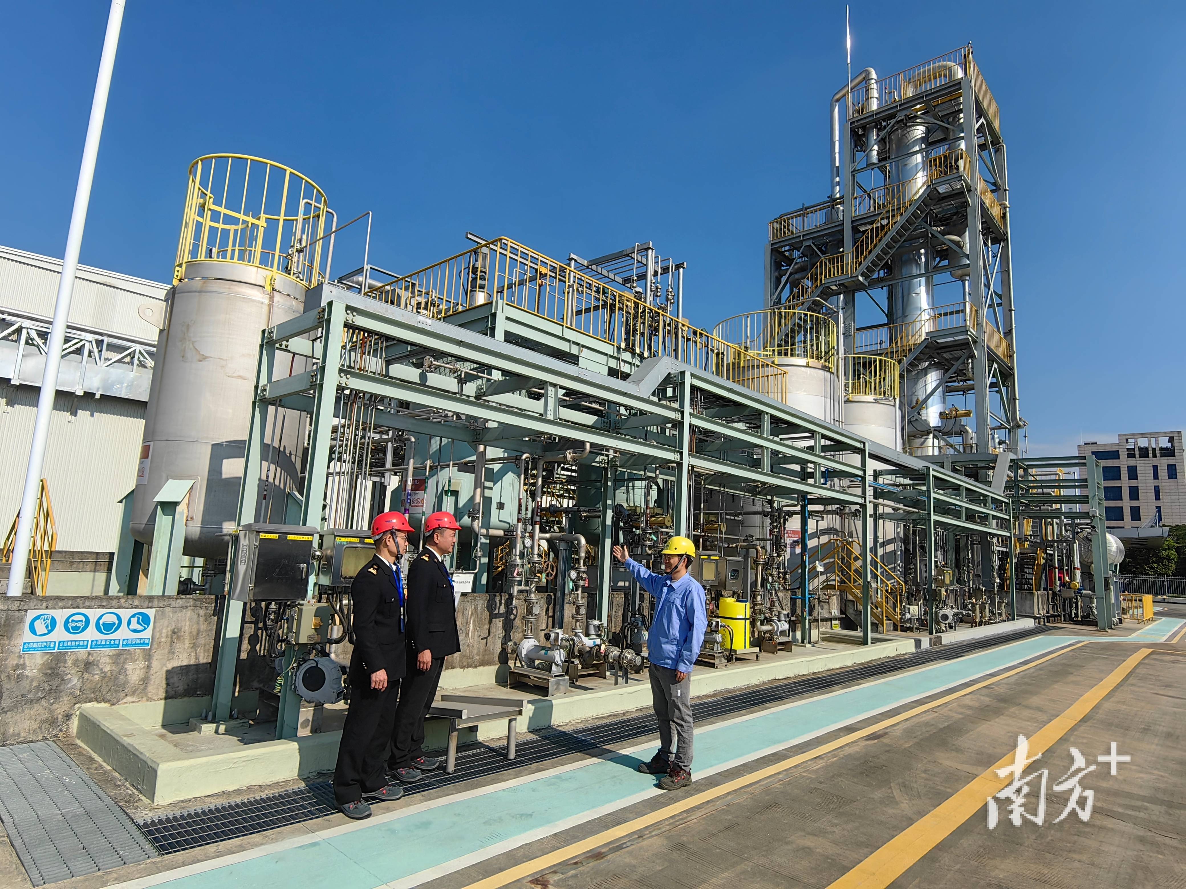 RCEP生效实施三周年，佛山超84亿元货物进出口受惠_企业_海关_原产地