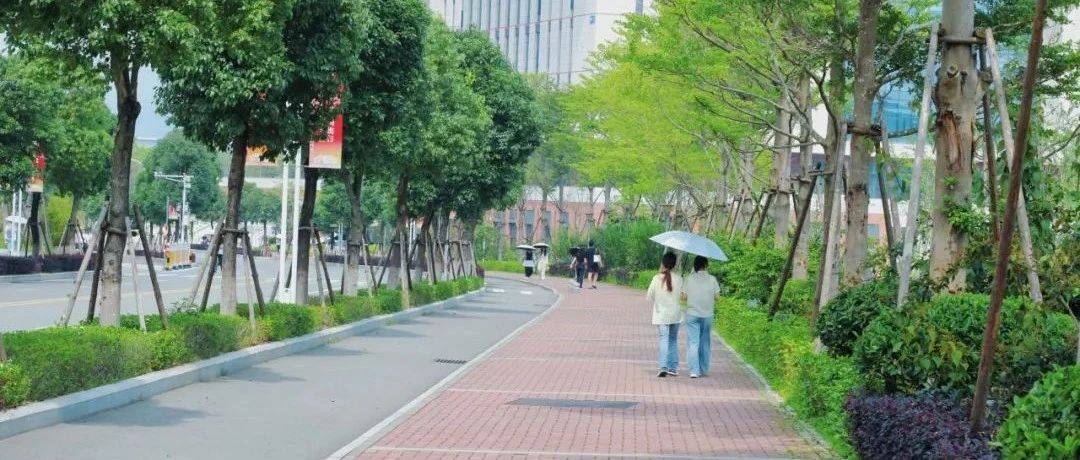 回首2024年，四组关键词陪你走过莆院的春夏秋冬！_PTUers_新生_更迭