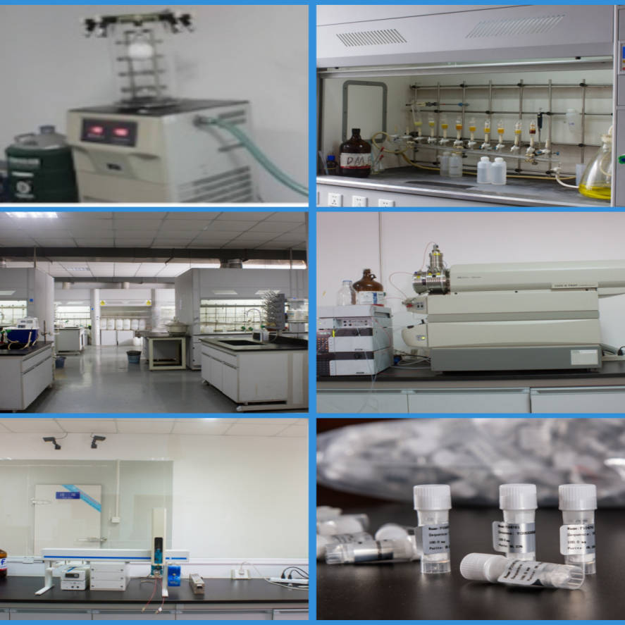 多肽固相合成（Solid-Phase Peptide Synthesis, SPPS）的优点与应用分析_保护_Fmoc_树脂