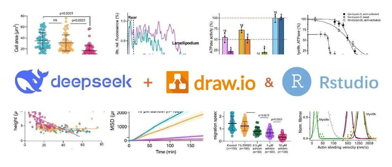 如何使用DeepSeek进行科研图表绘制？_io_Draw_结构图