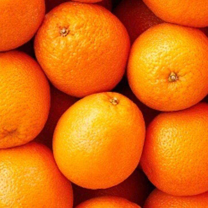 Quality of Brazilian oranges has dropped this year_the_juice_season