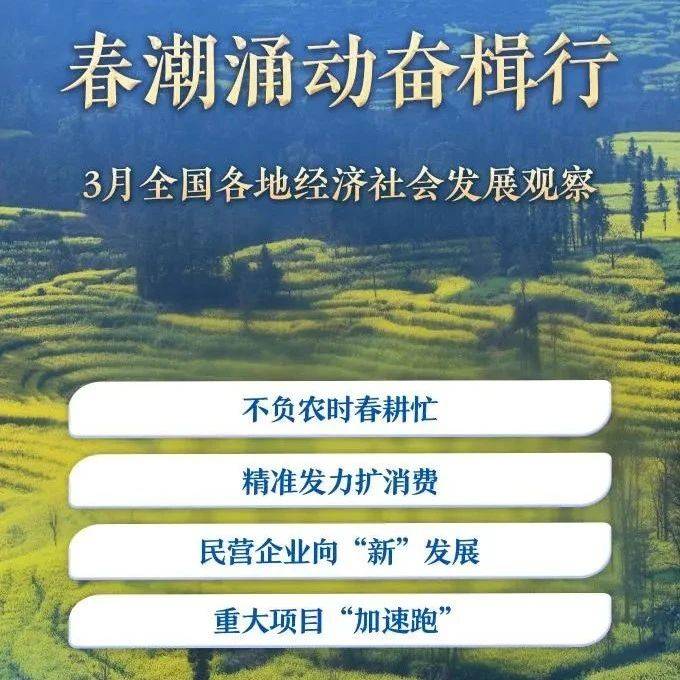 稳中求进每月看丨春潮涌动奋楫行——3月全国各地经济社会发展观察_消费_浸种_生产