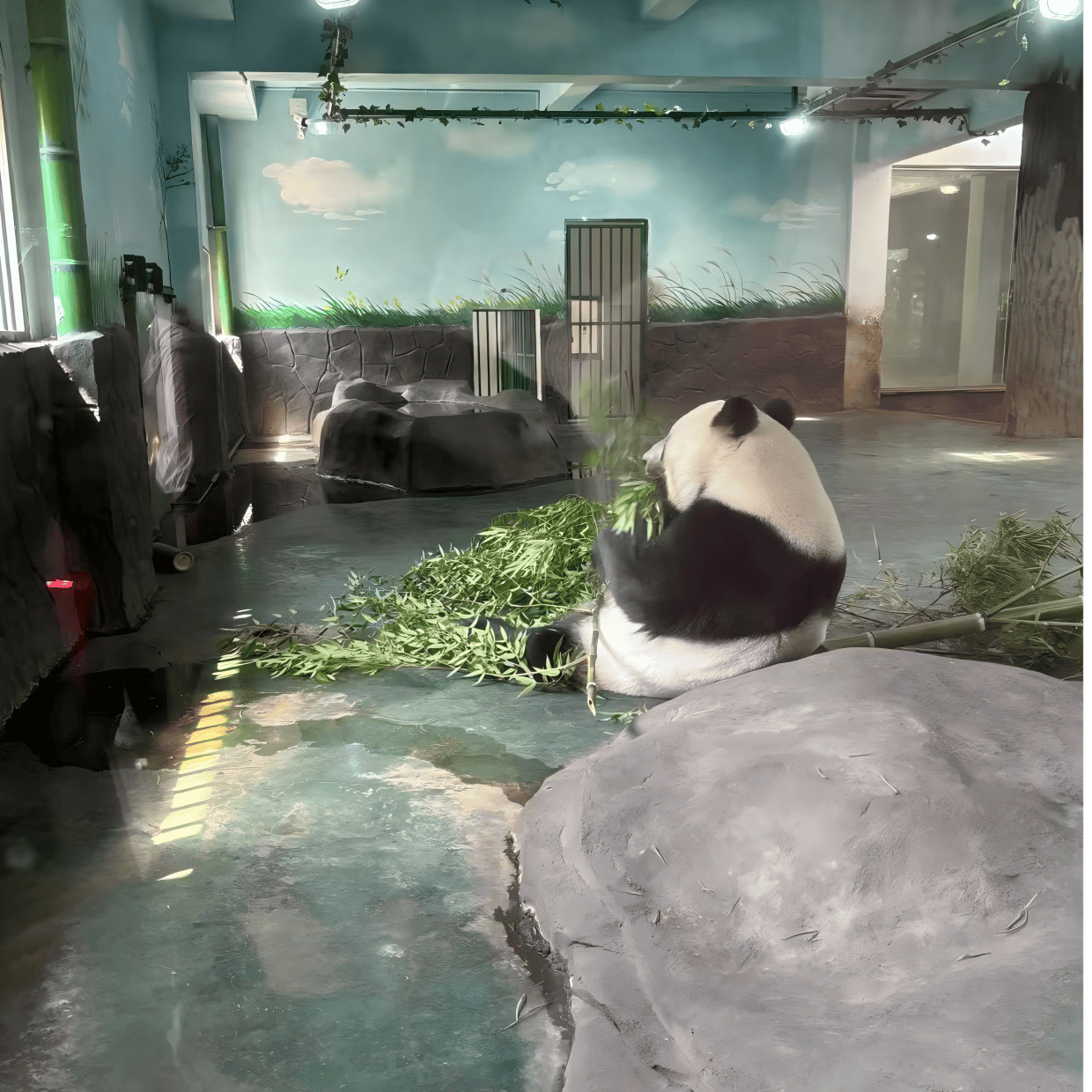 多肽合成Mc-GGFG-PAB-OH一种可降解 (cleavable) 的 ADC linker_研究_开发_设计