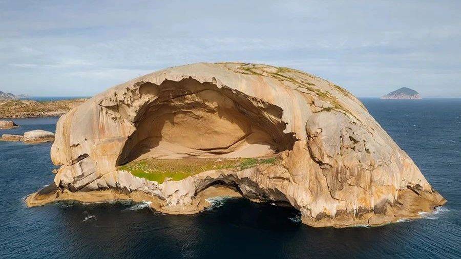 在游船上，我看见了澳大利亚的另一面_Cruises_Manly_Zoo