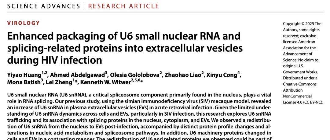 Sci Adv｜南医大郑磊/黄依瑶与约翰霍普金斯大学KennethWitwer揭示逆转录病毒通过细胞外囊泡重塑宿主RNA加工机制_snRNA_and_研究