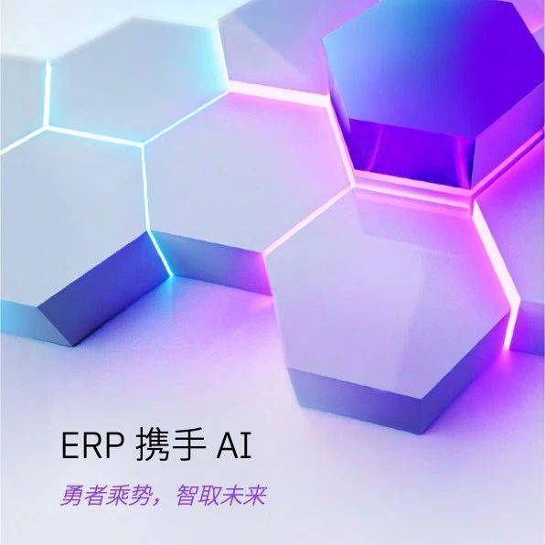 IBM：ERP携手AI——勇者乘势 智取未来_数据_Galp_保守派