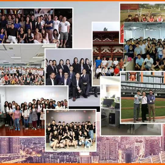 合肥京东运营公司？_团队_合同_数据