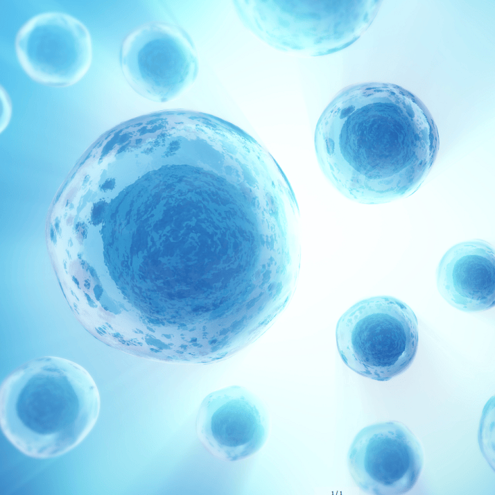 CNN+Transformer联手出击，金融时间序列预测新突破（经管之家）_模型_结构_资料