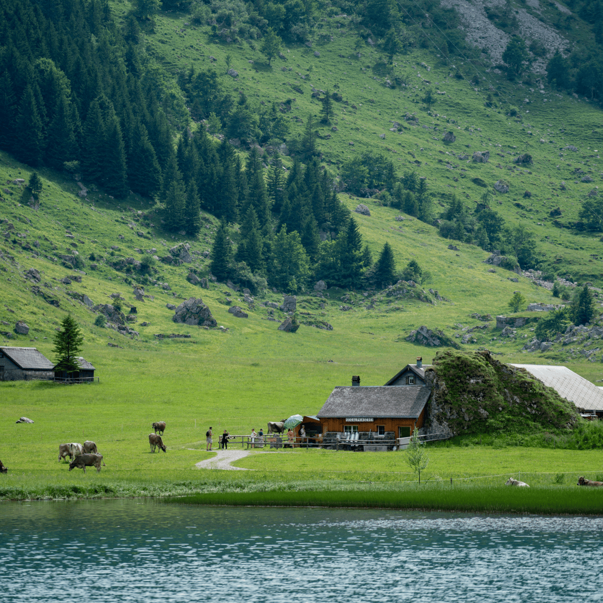 3A证书价格一览：申请前你必须知道的事儿_企业_报价单_机构