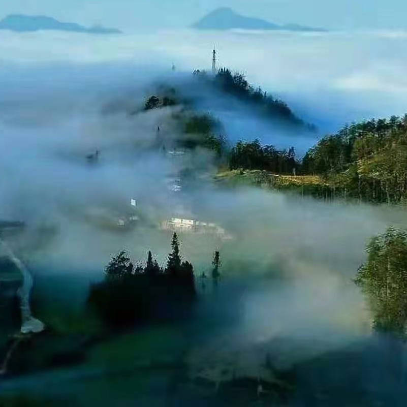 全家出行优选！全新捷达VS7 8.88万起畅享_搜狐汽车_搜狐网