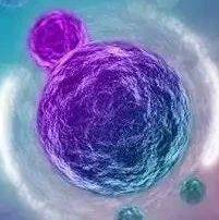 肿瘤患者营养评估量表PG-SGA操作标准_评分_质量_检查