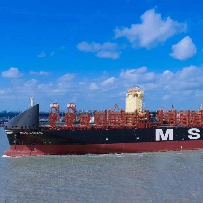 新船档案｜“MSC LINZIE”号集装箱船_双燃料_造船_扬子江