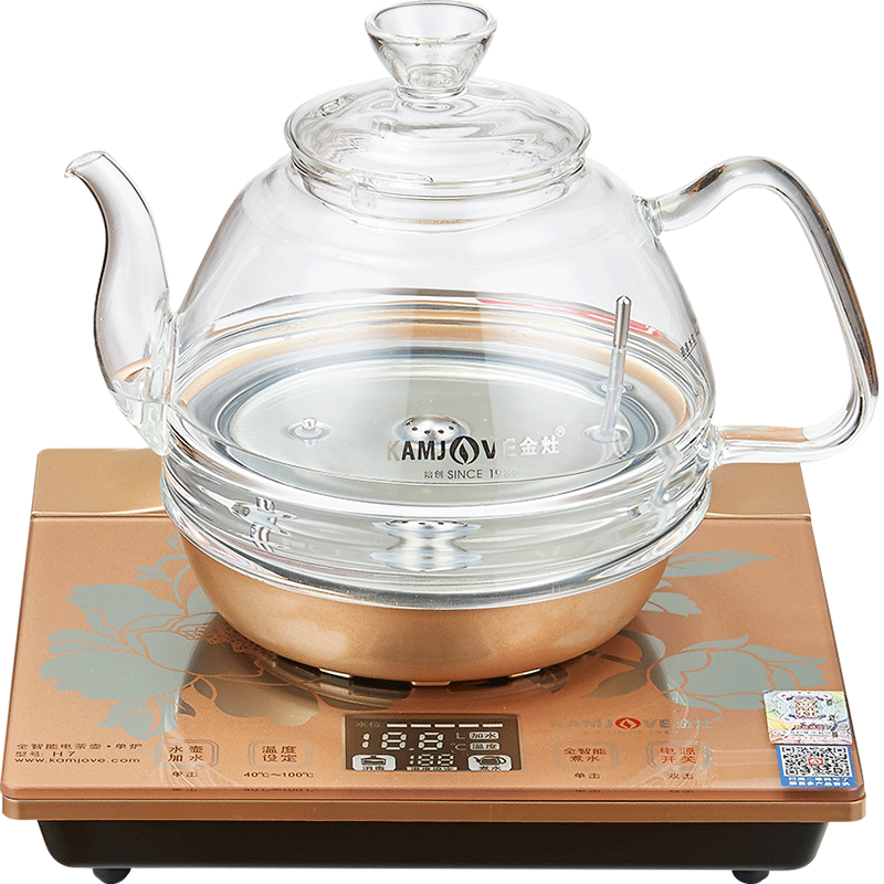 2025年电热水壶推荐：高性价比的十大选择，值得入手！_设计_环保_需求